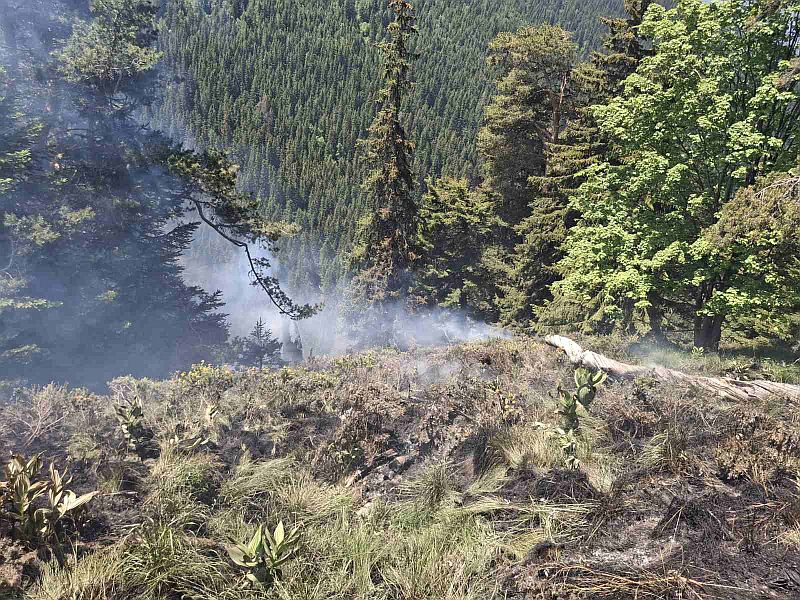 News - The fire in the Koja Karitsa locality in the Rila Monastery ...